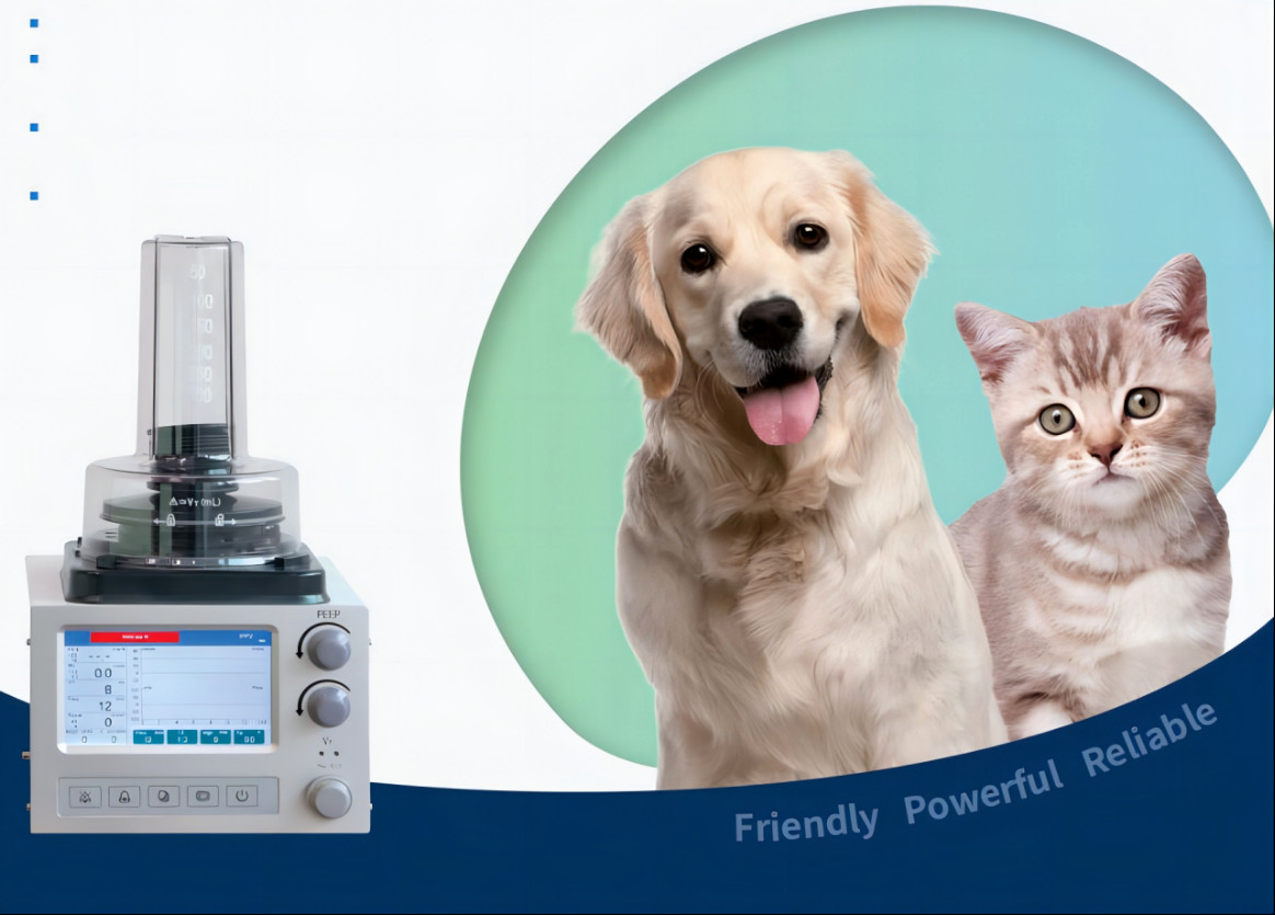 DH6B Veterinary Anesthesia Ventilator With 3 Ventilation Modes IPPV A/C ...