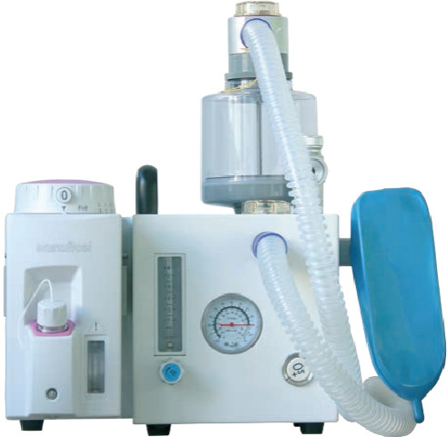 DM6D Veterinary Anesthesia Ventilator Small Animal Anesthesia System